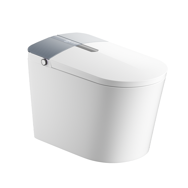 One Piece Smart Toilet Bidet with Built-in Water Tank, No Water ...