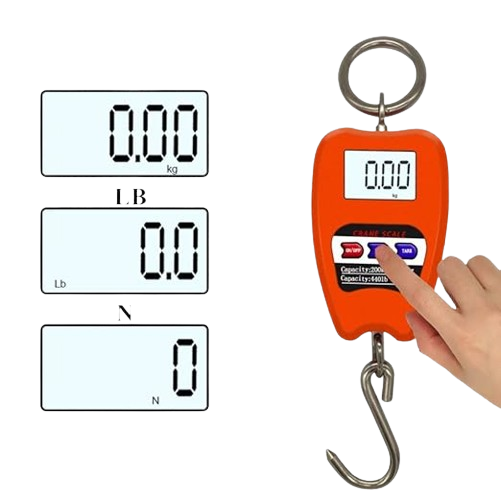 How to Choose the Best Fishing Scale: A Complete Buyer's Guide