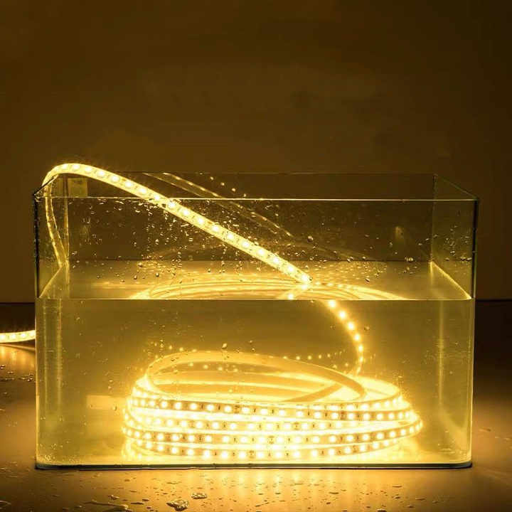 RGB Waterproof LED Strip Light for Swimming Pool | 20m IP68 Underwater ...