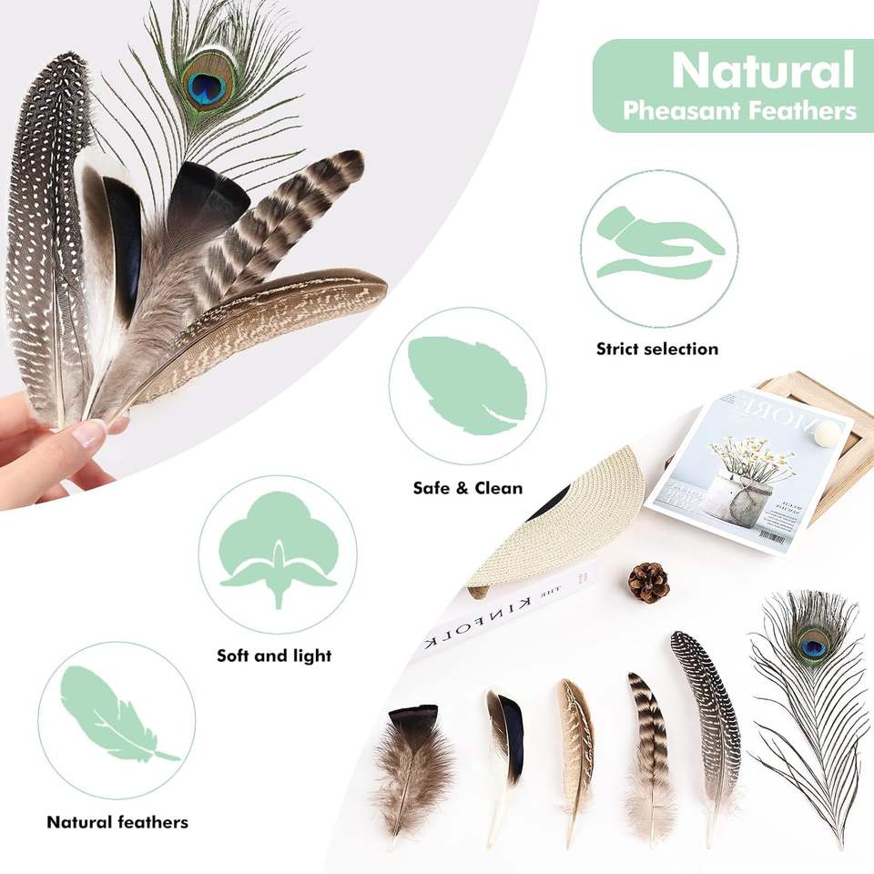 Natural Feathers Bulk 55PCS 6 Styles Assorted Peacock Pheasant Turkey ...