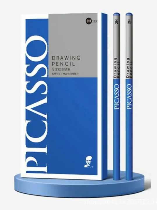 Picasso 12/Box Sketch Graphite Pencils for Professional Drawing - Range ...