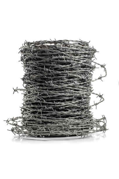Barbed Wire Barbed Blade Wire Security Fencing /China Razor Wire ...