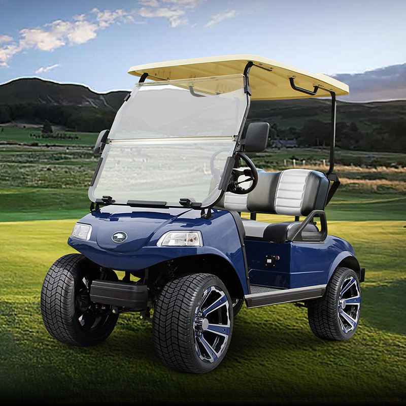 HDK EVOLUTION 2-Seater Mini Electric Golf Cart 48V Utility Vehicle UTV ...