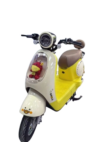 Electric motorcycle - Hebei Hongyi Vehicle Industry Co., Ltd.