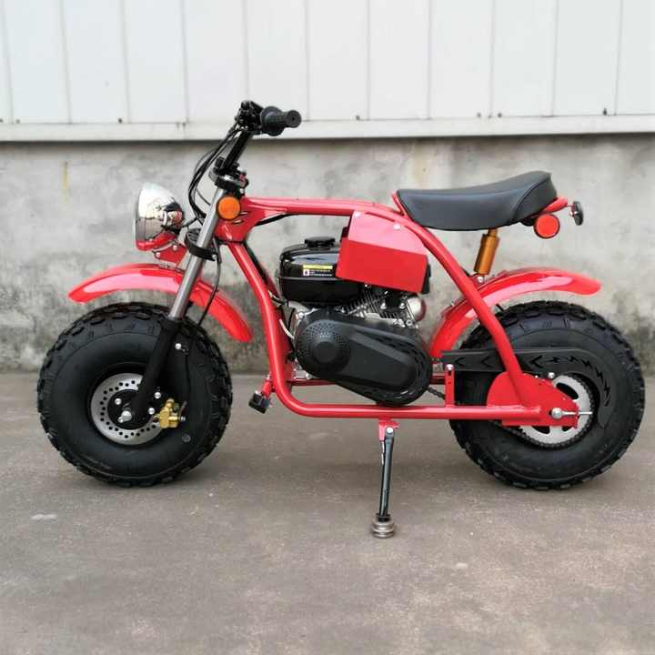 2020 New 196CC Mini Chopper Motorcycle for Sale - Gas Engine, Easy Pull ...
