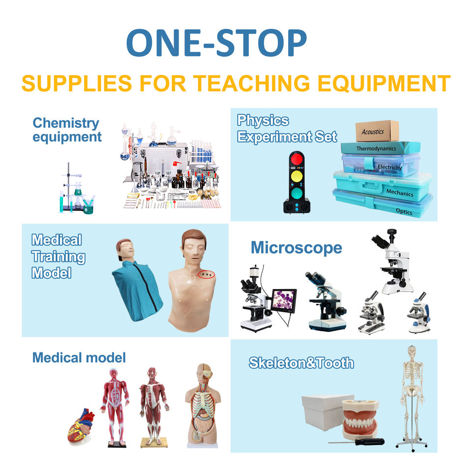 Archimedes Principle Experiment Demonstrator Physics Lab Equipment ...