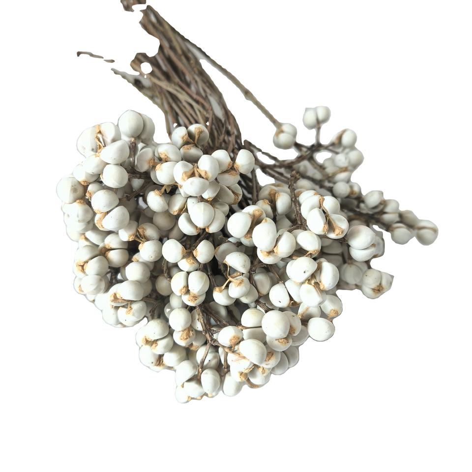Wholesale Dried Tallow Berries for DIY Decor & Crafts