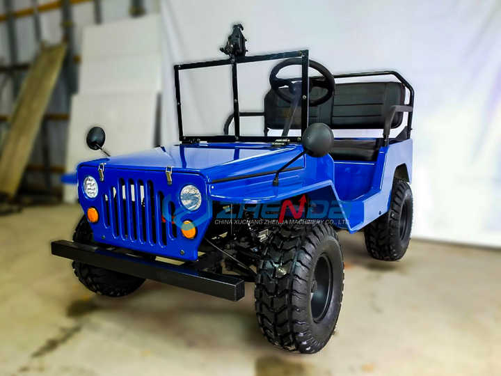 350cc 4x4 Gasoline Buggy - Adult off Road Dune Buggy