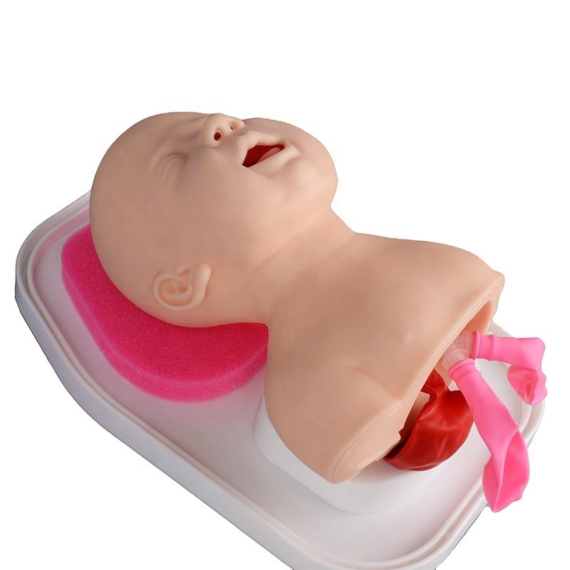 Neonatal Intubation Manikin - Enhance NRP Training Skills