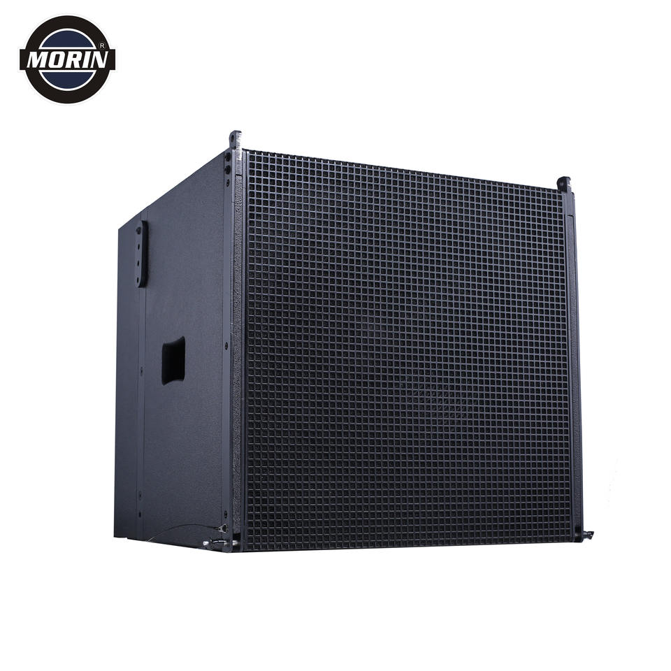 TW Audio 12 Inch Powered Active Line Array Speaker for Churches, Events ...