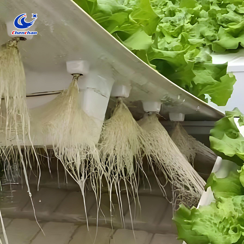 How to Choose the Best Freestanding Hydroponic DWC Grow Tables