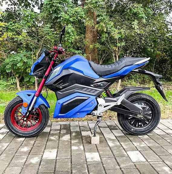 90kmh Electric Motorcycle Z6 - High Quality & Vintage Style