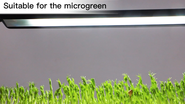 Garden Smart - Indoor Microgreen Grow Kit & System