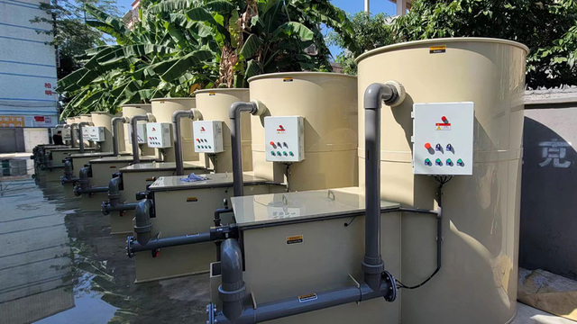 Buy Crystal Red Shrimp Breeding Tanks & Equipment | Premium RAS Systems
