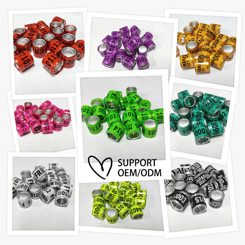 Almanya Güvercin Yüzükleri - Yarışlar için Kalite ve Dayanıklılık