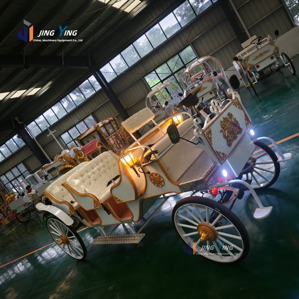 Personalized Sightseeing Carriage for Tours: Make Your Event Special ...