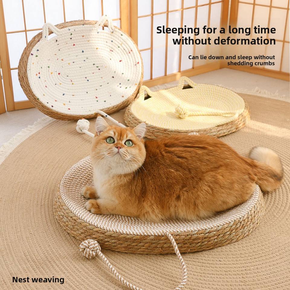 Modern Fashion Rectangle Cat Scratching Board Bed Wear-Resistant Non ...