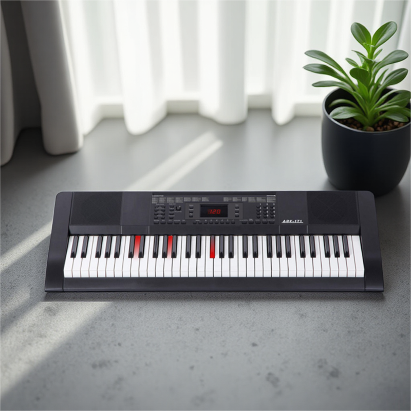 61-Key Multifunction Portable Keyboard AIERKE ARK-171 for Families ...