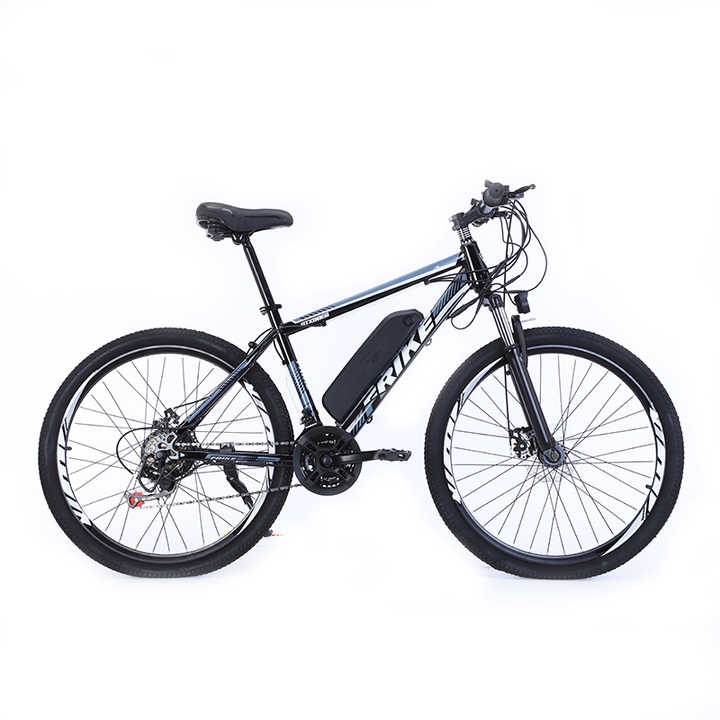 29 Inch Electric Bike - High Configuration & Customizable