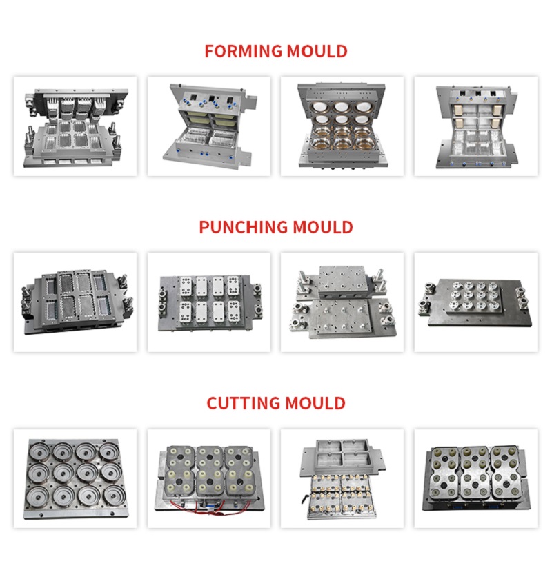 How to Choose the Best Thermoforming Mold for Your Project
