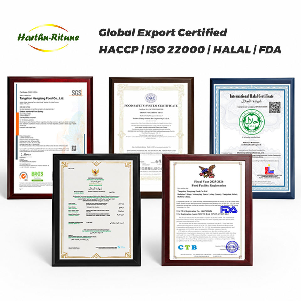 Halal HACCP Certified Frozen Chicken Breast Fillet Boneless Skinless ...