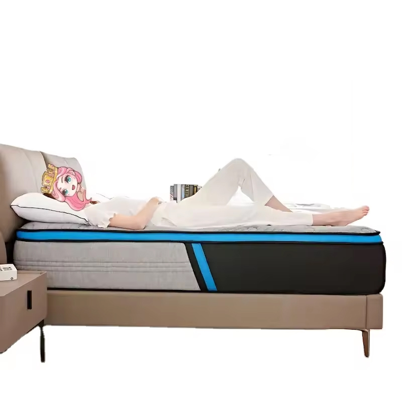Company Overview - Foshan Disidun Furniture Co., Ltd.