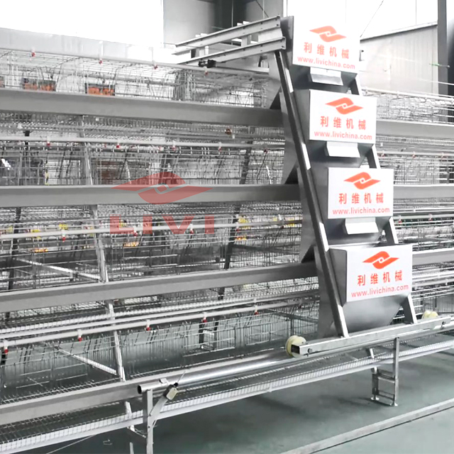Durable and Efficient cages poultry chickens for Optimal Animal Housing