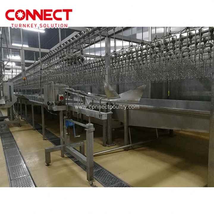High Quality Automatic Broiler Breeder Chicken Slaughter Line Poultry ...