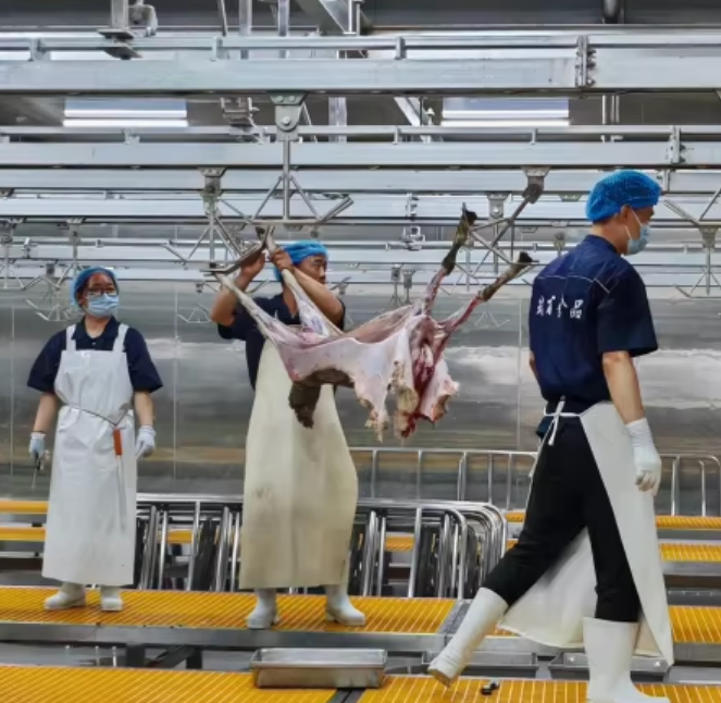 Halal Sheep Goat Slaughtering Line Automatic Lamb Abattoir Complete ...