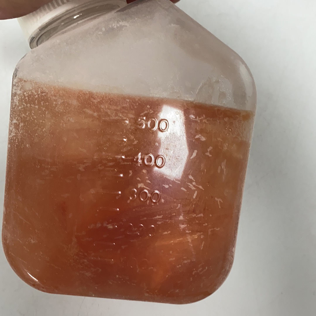 Revitalize Your Complexion with Premium fbs bovine serum Solutions