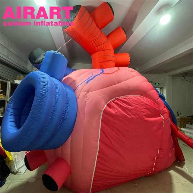 Showstopping Giant Inflatable Human Heart Model, Bring Anatomy to Life ...