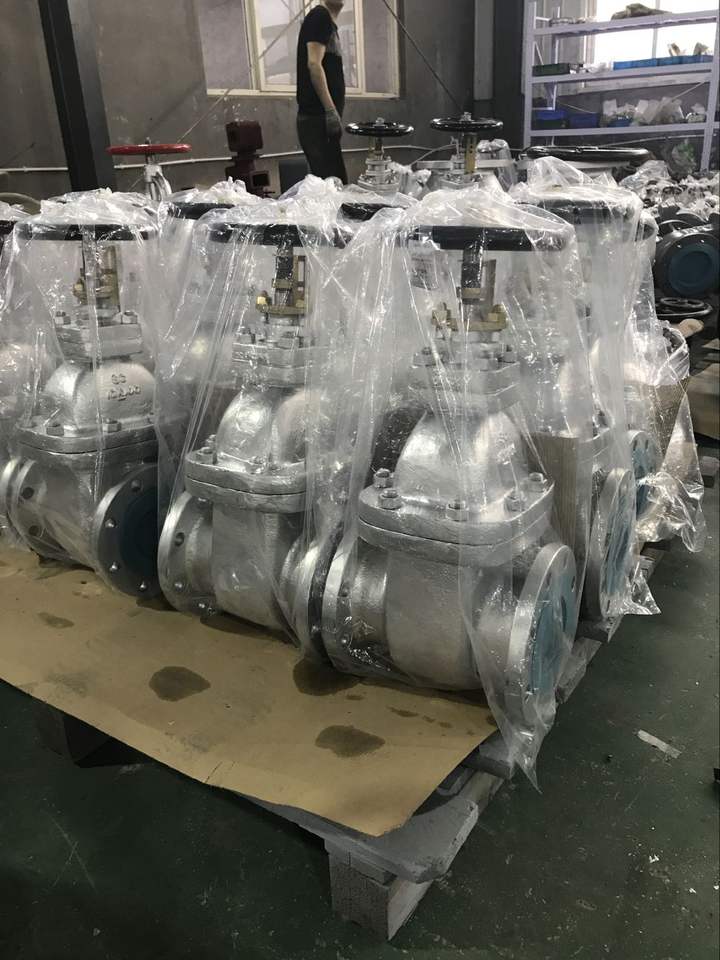 JIS F7363 5k/10k Cast Steel Gate Valves - Durable & Efficient