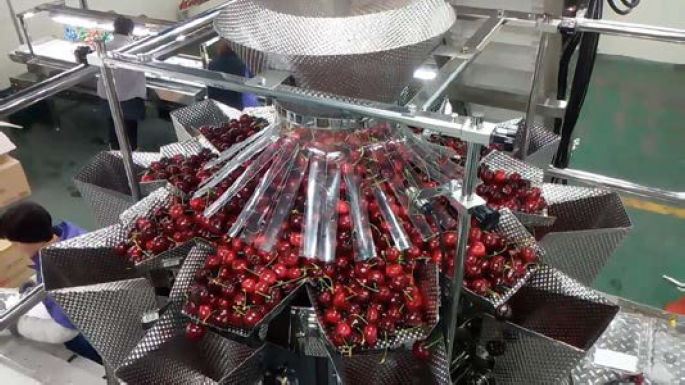 Automatic Cherry Punnet Plastic Clamshell Container Filling Machine for ...