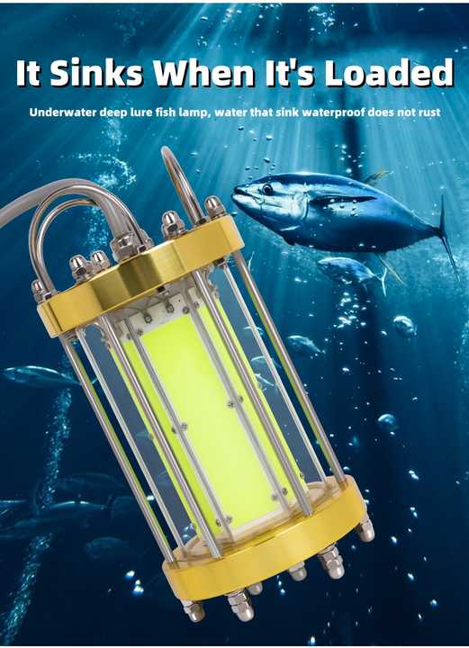 1000W LED IP68 Waterproof Fishing Lamps High Power Underwater Fish ...