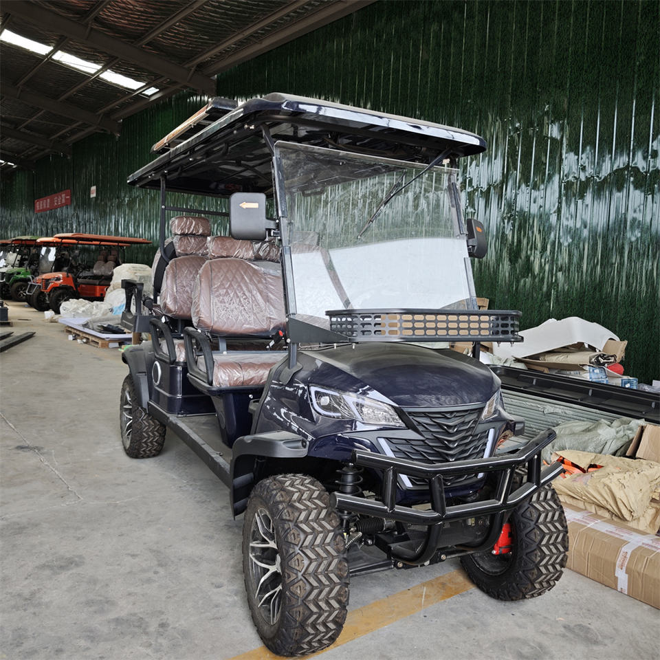 Mini Golf Car - 2 Seat Electric Golf Cart with Sunshade, LED Headlights ...