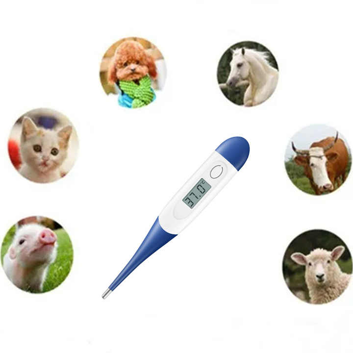 Hs-24v Veterinary Rectal Thermometer Yellow and Black Veterinary ...
