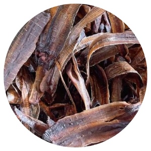 Wholesale Dried Earthworms - High-Nutrient & High-Protein