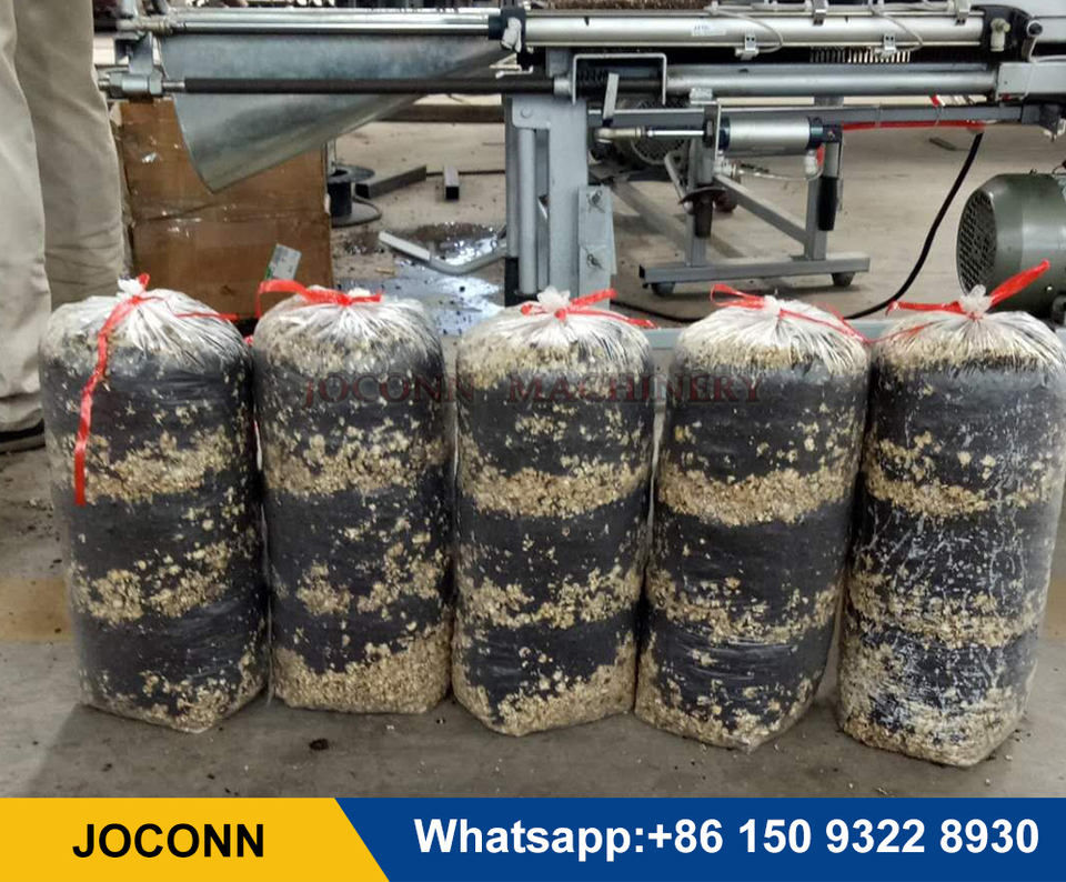 Commercial Shiitake Mushroom Farming System Mushroom Culture Bag ...