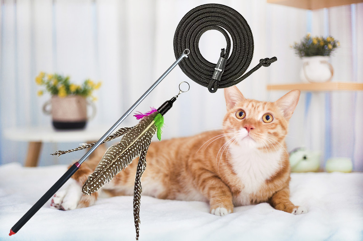 Hot sell stainless steel dog tease tube extension pole for cat flirt toy