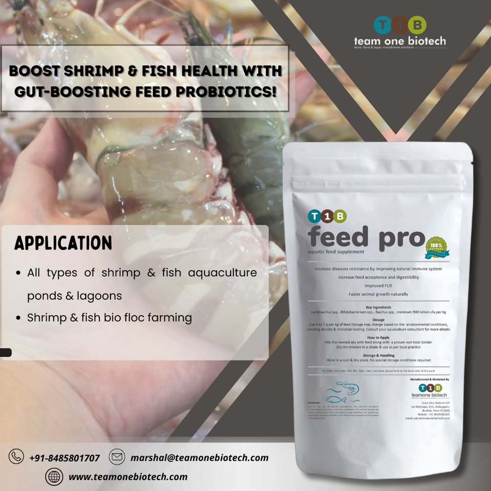 Sustainable Fish and Shrimp Farming Feed Probiotics| Alibaba.com