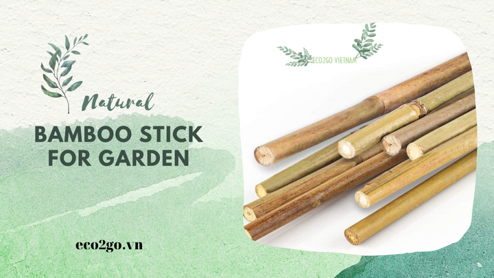Eco2go Vietnam Bamboo Stick Making Machine - Support Planting