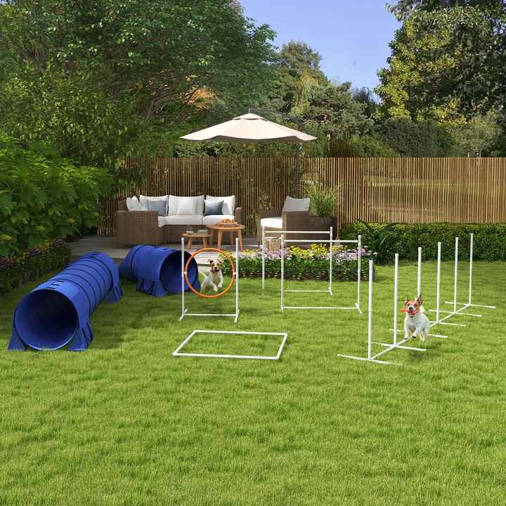 7-Piece Adjustable Blue Agility Training Set for Dogs Includes Tunnels ...