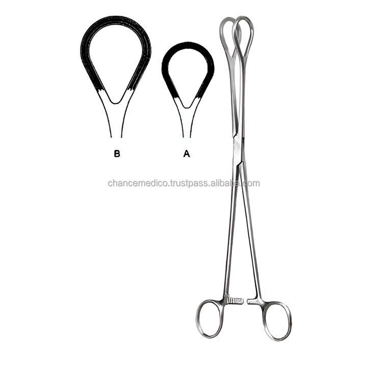 Tissue and Organ Holding Forceps Atrauma, 26cm hold and grip tissue ...