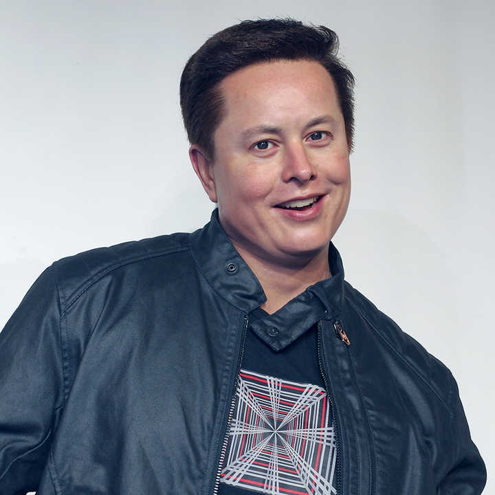 Resin Crafts Art Collection - Custom Made Elon Musk Wax Figure