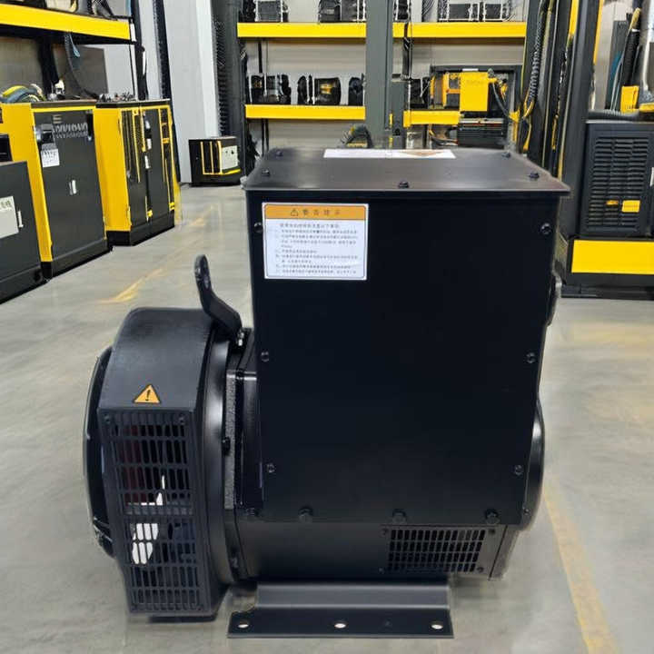 220V 45kVA Single Phase Alternator 50Hz, Brushless Design with Copper ...
