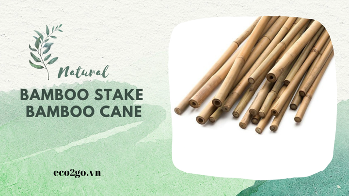 Eco Friendly Natural Bamboo Stakes Canes/Bamboo Garden Stakes High ...