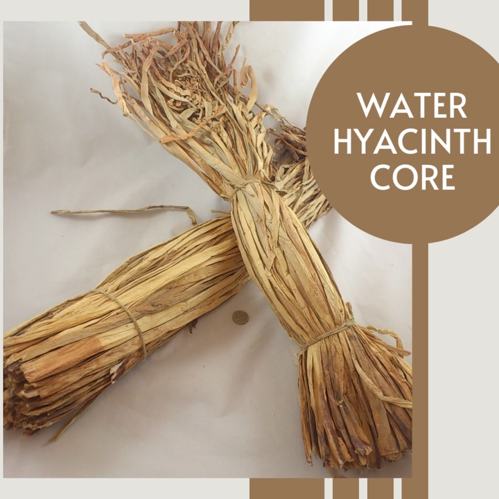 Dried Water Hyacinth for Craft Making - Eco Farmie Vietnam