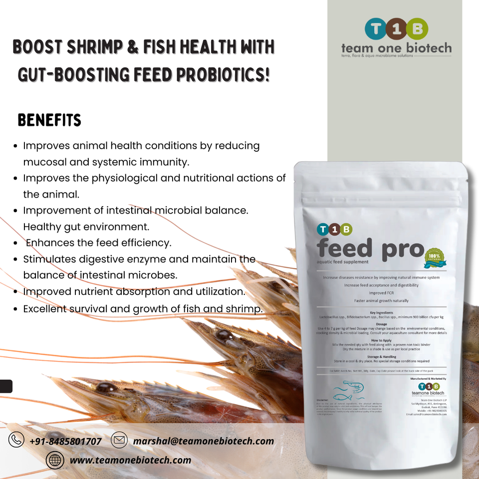 Gut/Feed Probiotics for Shrimp and Fish Premium Product for Aquatic ...