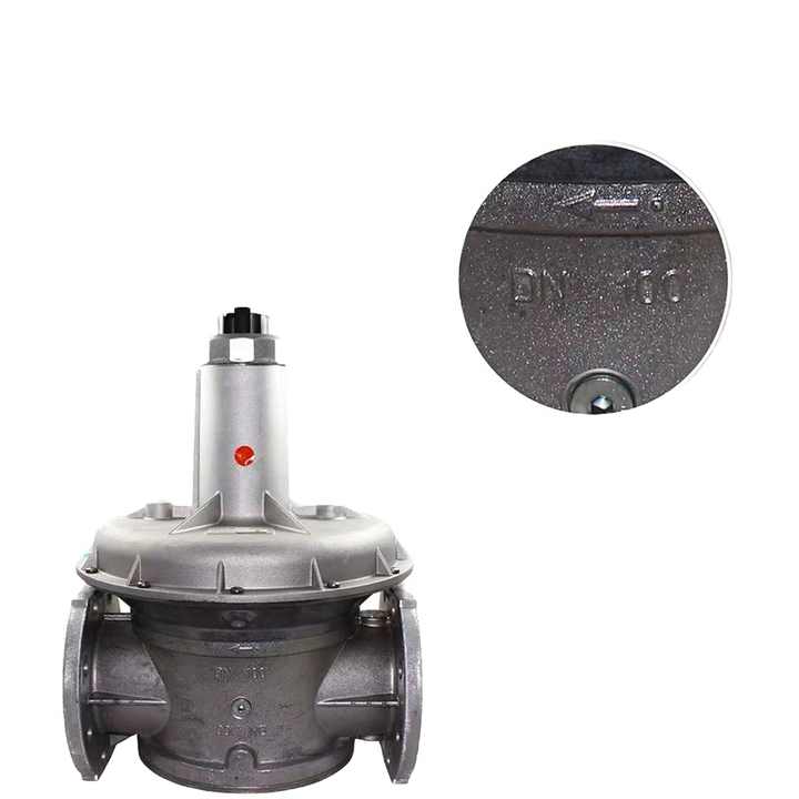 Dungs FRS 5100 Gas Pressure Regulator - Reliable Performance