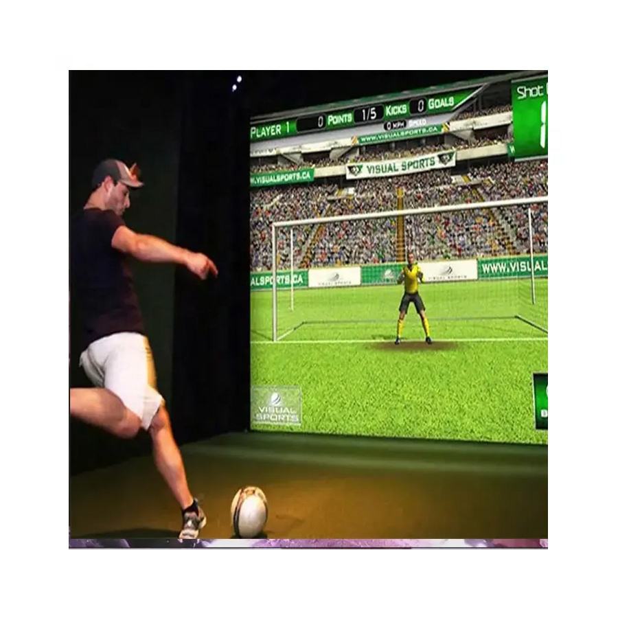 Virtual Interactive Sports Wall - Fun & Rehabilitation